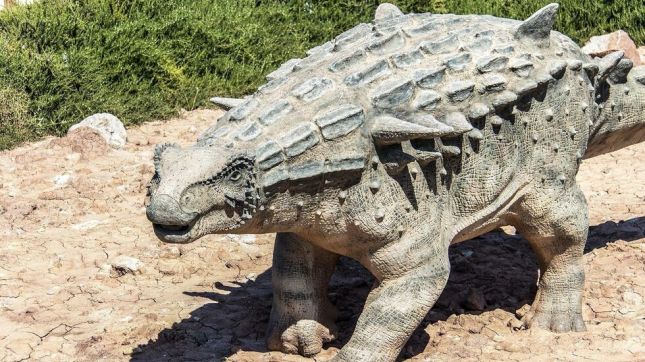 Découverte d'un fossile d'ankylosaure Découverte d'un fossile d'ankylosaure